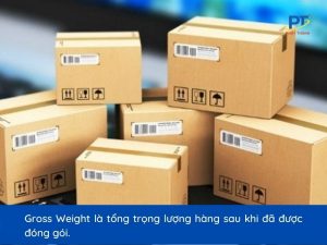 Gross Weight là gì? [Chi tiết] Cách tính và cách tối ưu Gross Weight