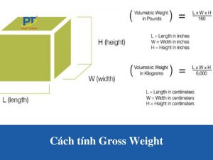 Gross Weight là gì? [Chi tiết] Cách tính và cách tối ưu Gross Weight