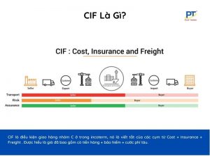 FOB và CIF là gì? [Chi tiết] So sánh FOB và CIF trong xuất nhập khẩu