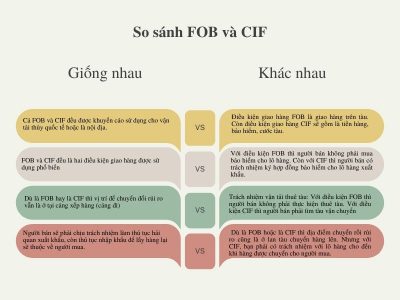 FOB và CIF là gì? [Chi tiết] So sánh FOB và CIF trong xuất nhập khẩu